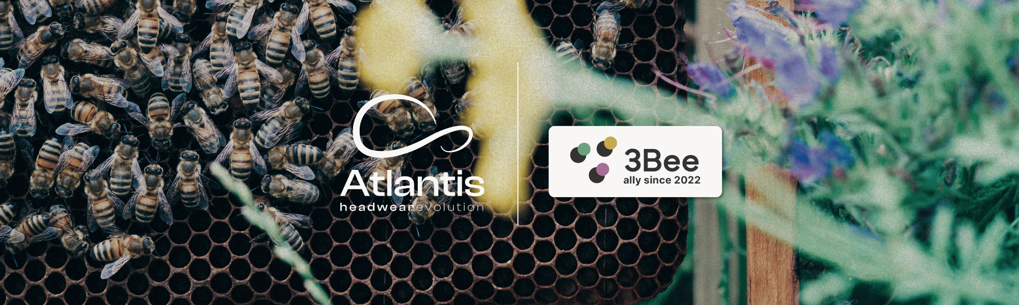 Atlantis Headwear renews project with 3Bee - Atlantis Headwear